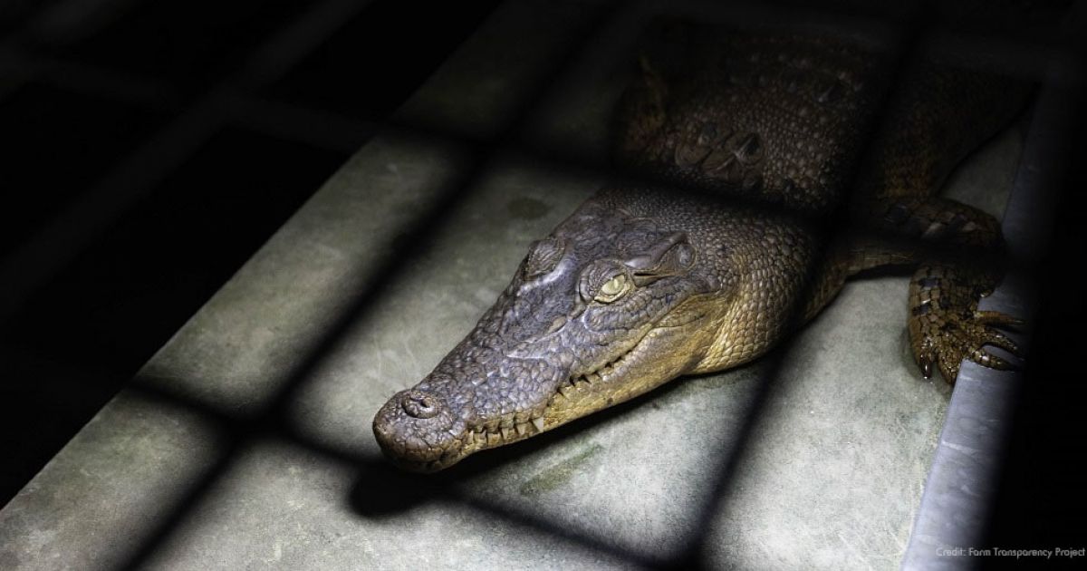 Scary animals deserve protection too